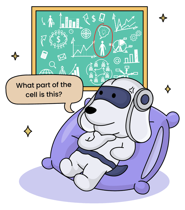 AI for Educational Institutions | Study Fetch